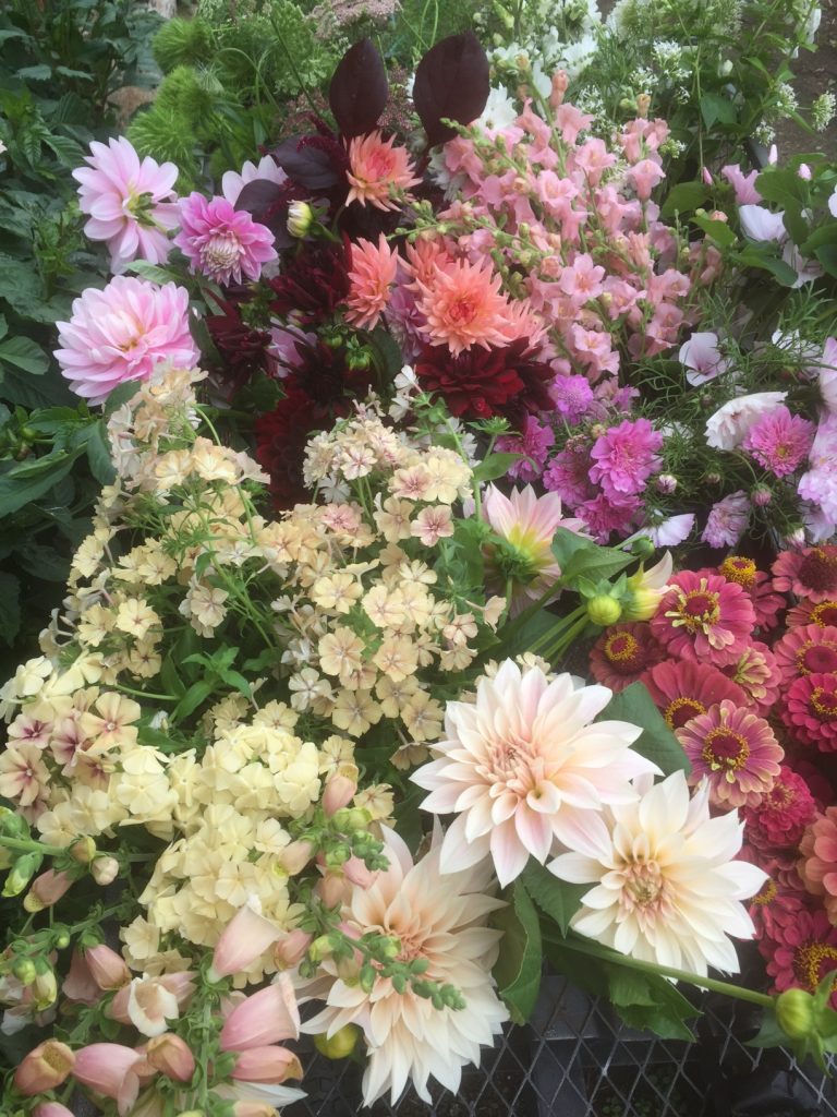 DIY Flowers – Pickers Cut Flowers