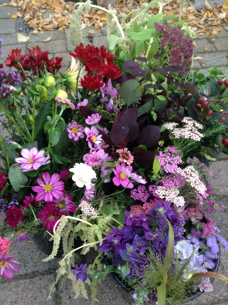 DIY Flowers – Pickers Cut Flowers