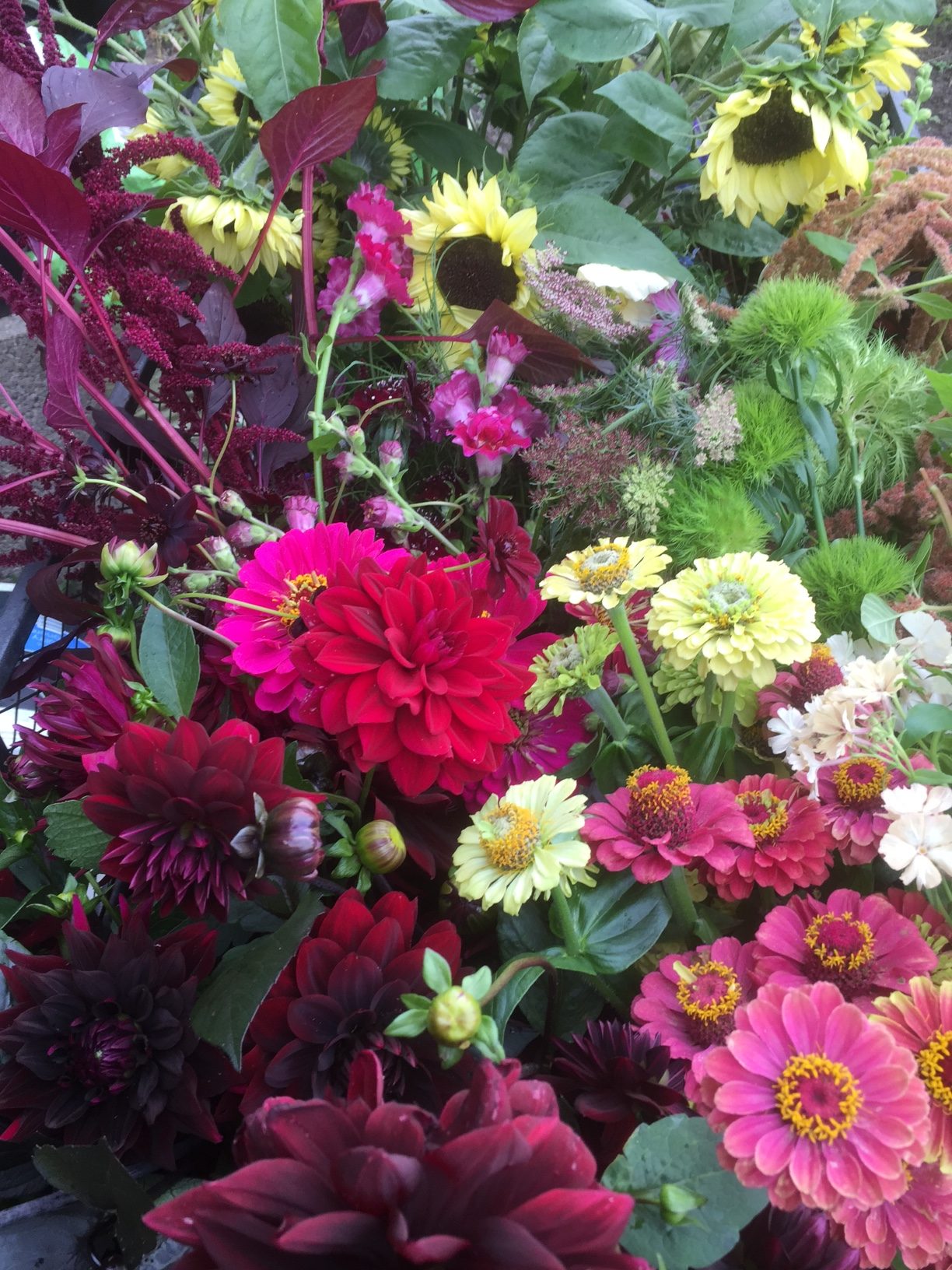 Autumn Flowers – Pickers Cut Flowers