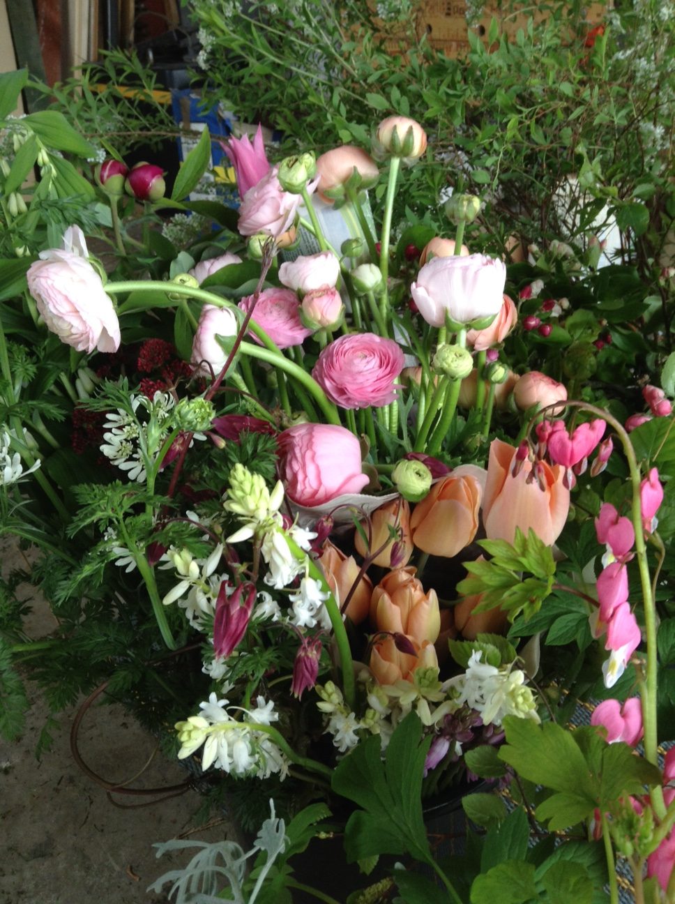 Spring Flowers – Pickers Cut Flowers