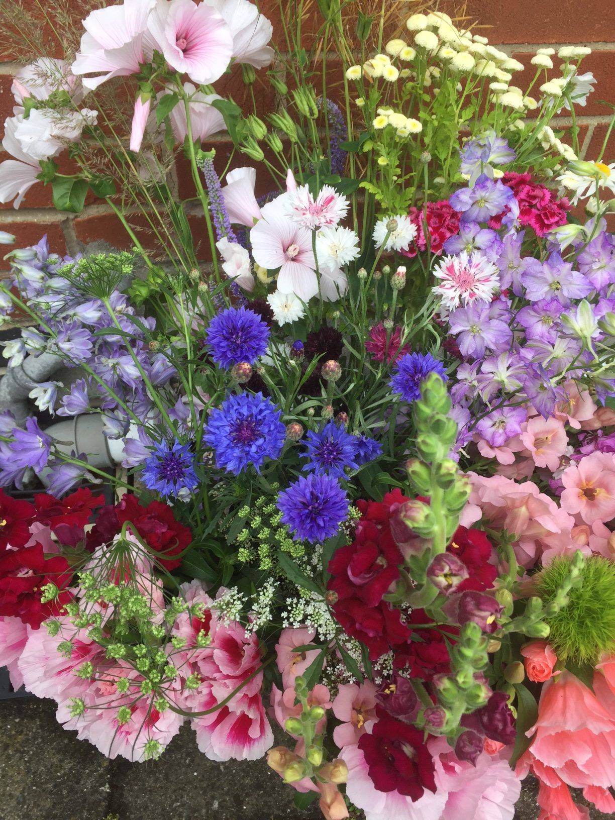 Summer Flowers – Pickers Cut Flowers